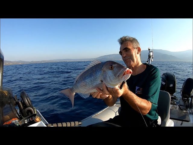 Fishing Trip in Crete - Hay Tours Crete, Excursions, Tickets and ...
